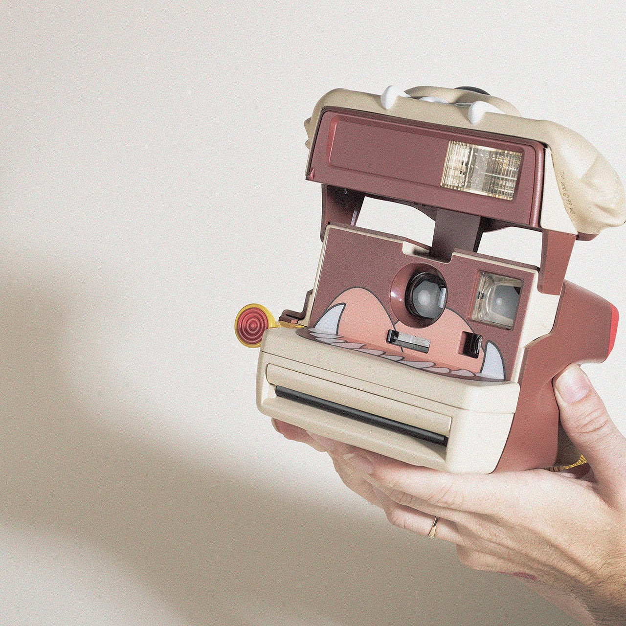Polaroid Cameras for Sale | Instant Cameras | Brooklyn Film Camera
