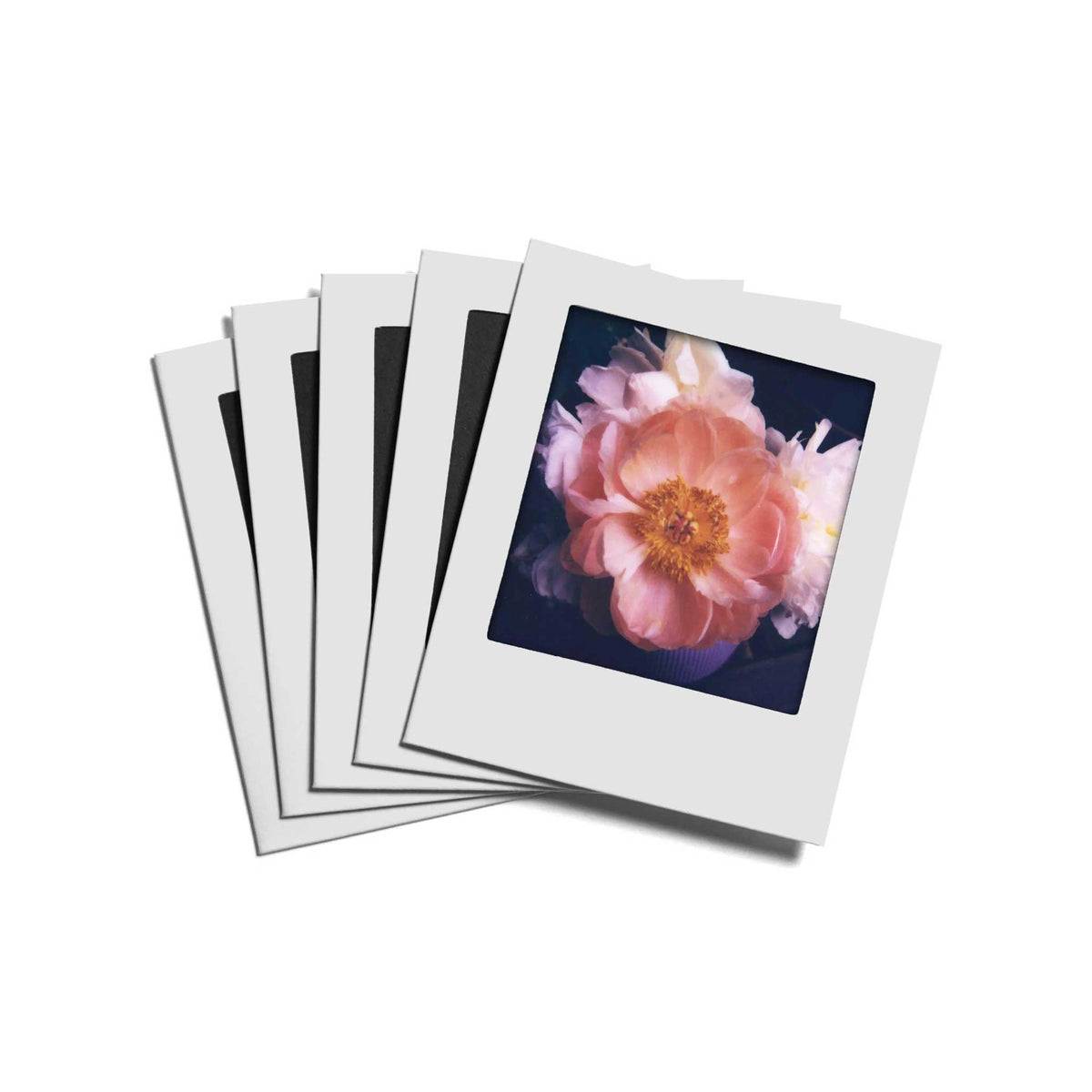 Instant Postcards :: Set of 5 — Brooklyn Film Camera